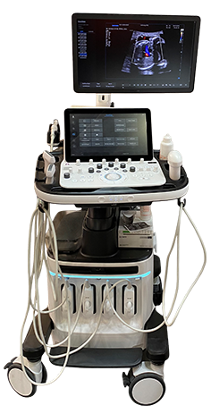 Samsung HERA W10 - BMS Medical Systems